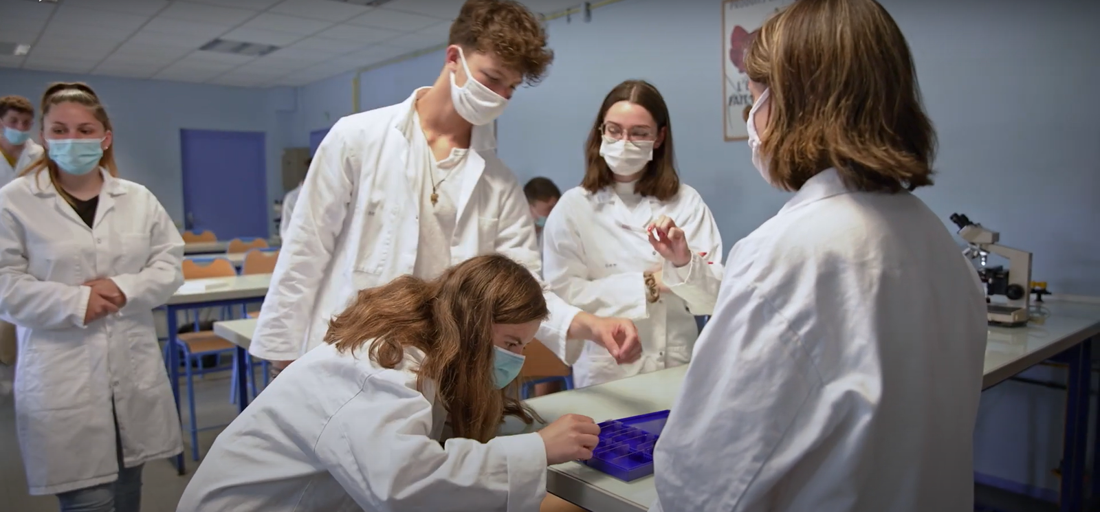 Projects pédagogiques | Educ'ARTE